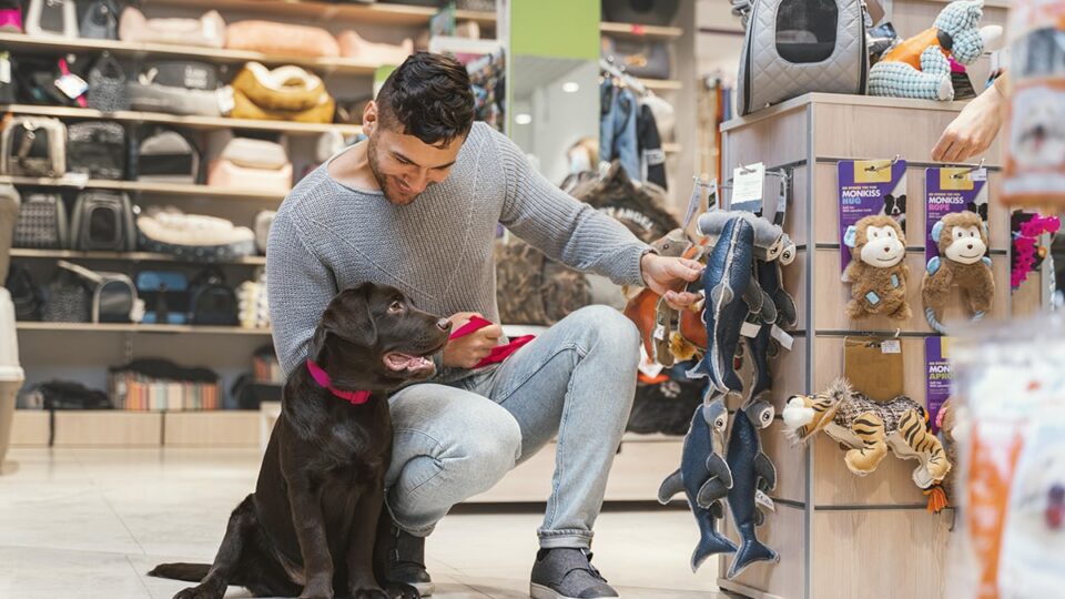 Como Abrir Um Pet Shop O Que Precisa Custos GUIA 