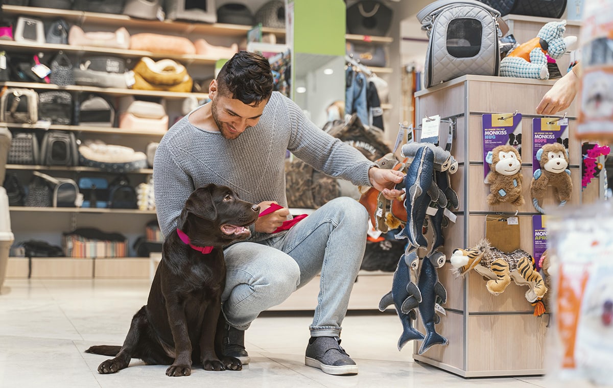Como Abrir Um Pet Shop O Que Precisa Custos GUIA 